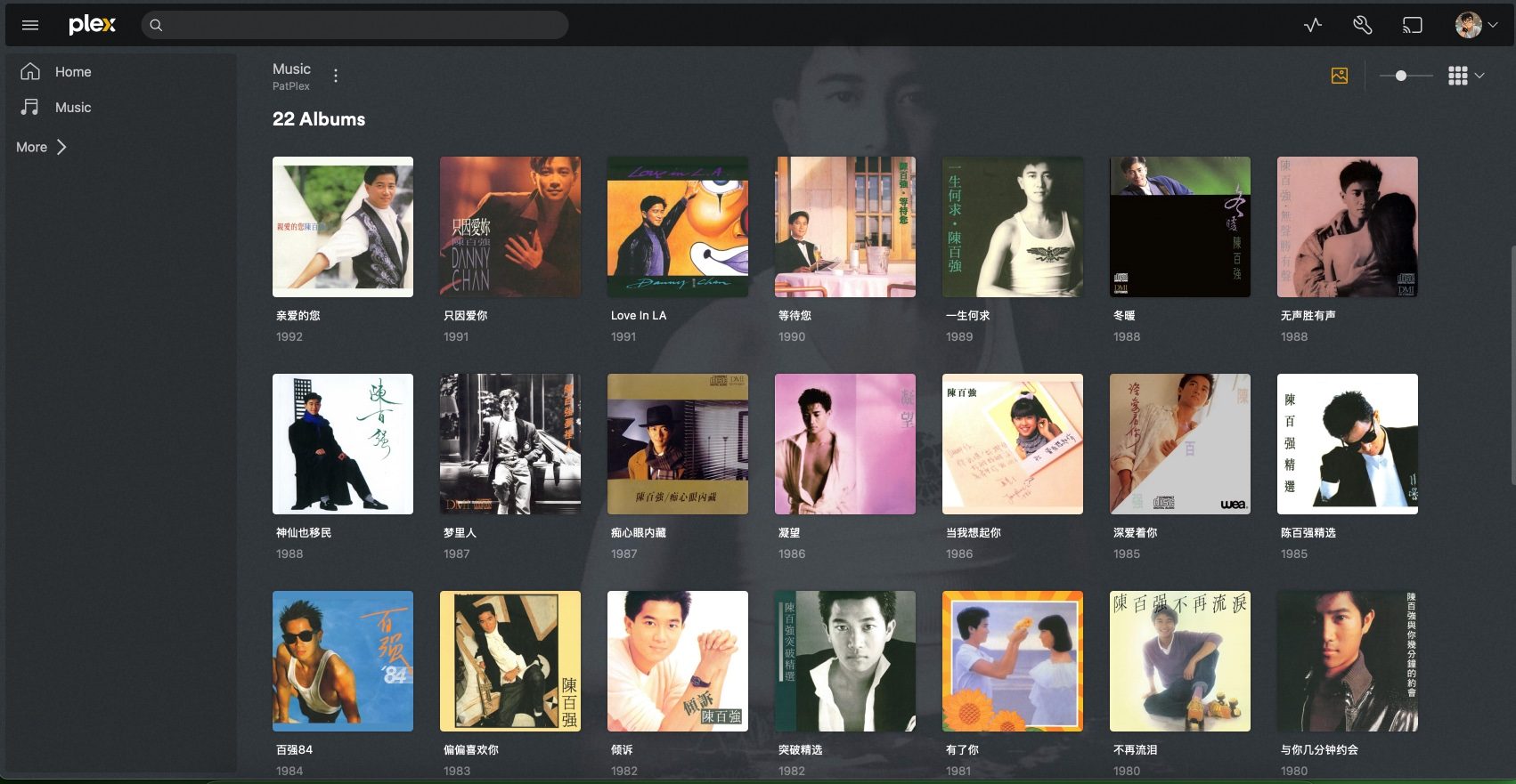 Using Plex Music for My Music Library – Chinese Album Art